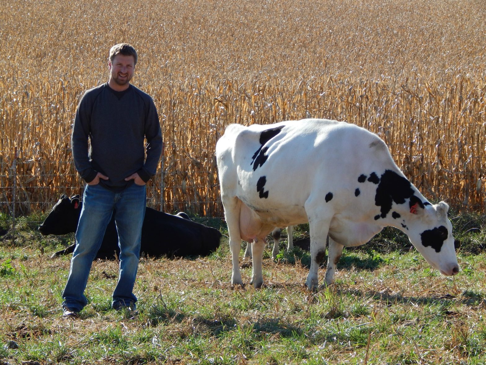 Cows First - Meister Cheese