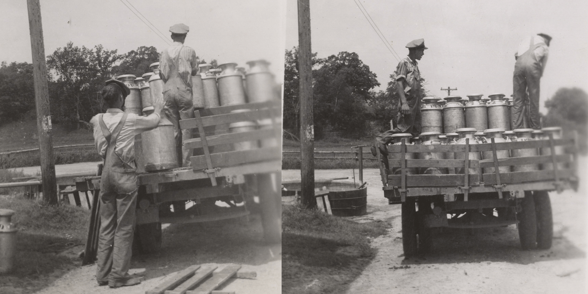 About Us - Meister Cheese