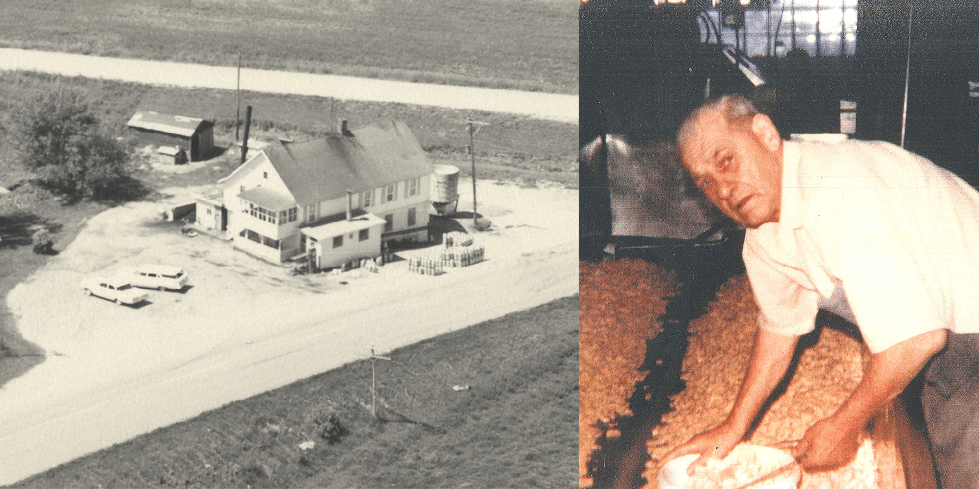 About Us - Meister Cheese